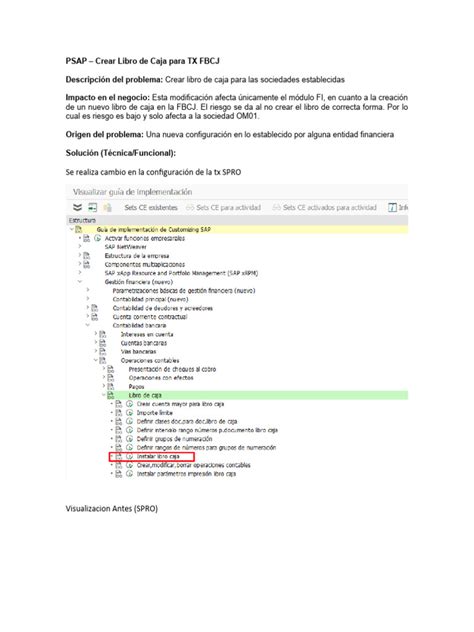 Psap Crear Libro De Caja Para Tx Fbcj Pdf