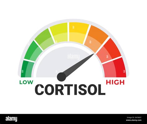 Cortisol Level Indicator Vector Illustration With Visual Spectrum From Low To High For Stress