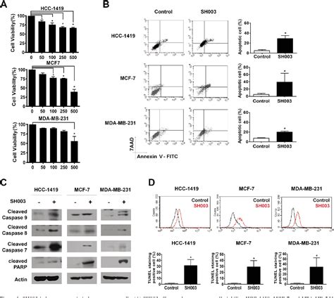 Figure 1 From Sh003 Causes Er Stress Mediated Apoptosis Of Breast