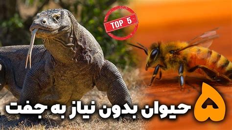 حیواناتی که بدون نیاز به رابطه جنسی ،تولید مثل میکنند آیا مثل گیاهان هستند؟ نماشا