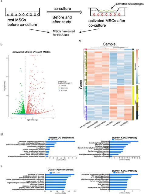 Deg Profiling By Rna Seq A Rna Seq Protocol B The Upregulated And