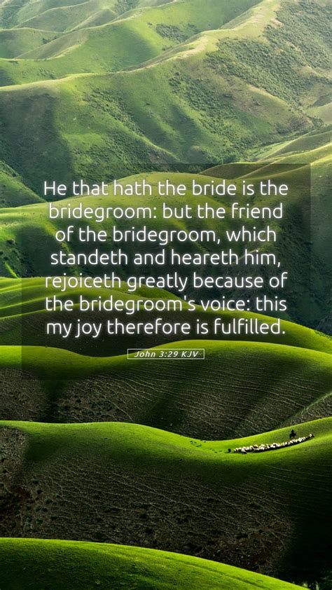 John 329 Kjv Mobile Phone Wallpaper He That Hath The Bride Is The