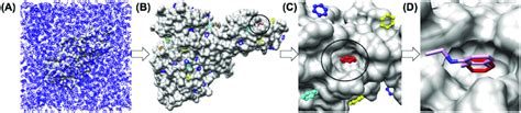 Overview Of Pharmacophore Mapping And Computational Fragment Screening