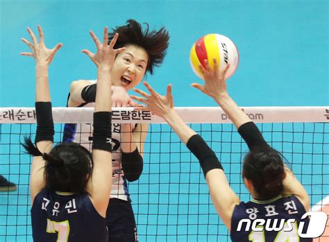 김주향·백목화 등 여자 프로배구 선수들 고향팬에 첫선