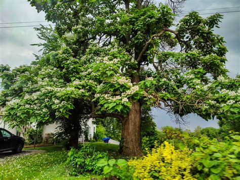 Spring Is In The Air Pixeling Pixie Flickr Spring Is In The Air Pixeling Pixie Flickr