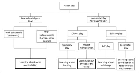 Proposed Psychobiological Classification Of Play In Cats At The