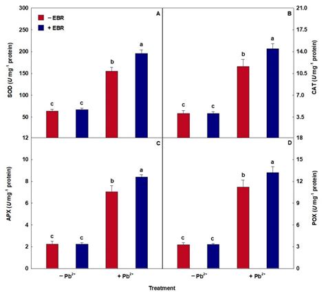 Agronomy Free Full Text 24 Epibrassinolide Simultaneously Stimulates Photosynthetic