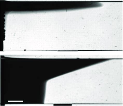 Marangoni Flow Driven Chemical Fronts The Front Propagates From Left