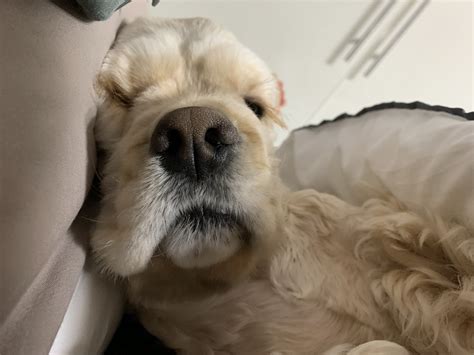 런 타임 runtime 과 컴파일 타임 compile time 완벽하게 이해하기