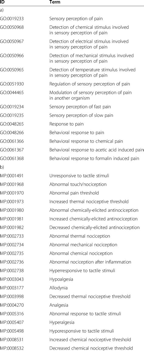 Lists Of A Gene Ontology Terms And B Mammalian Phenotype Terms That Download Table