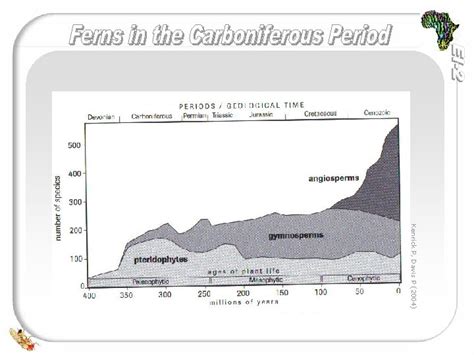 Ferns In The Carboniferous Period L L Eugene