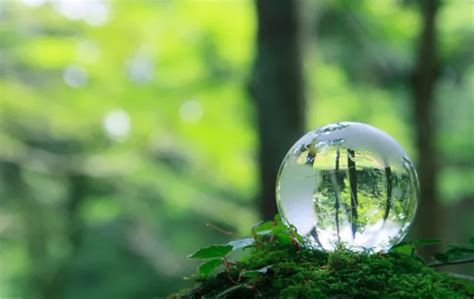 How To Make Sustainable Materials Use Matter Sap Insights