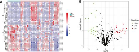 Mhgtmda Molecular Heterogeneous Graph Transformer Based On Biological