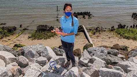 From Endeavors At University Of North Carolina Chapel Hill Women In Stem Stacy Zhang”on The