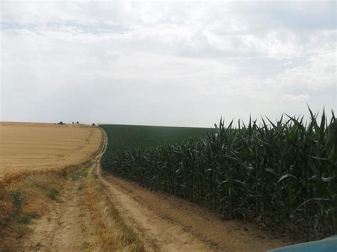 Как да стимулираме микробиологията в кисели почви Agri Bg