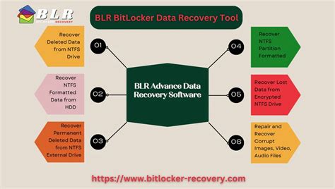Blr Bitlocker Recovery Tool At ₹ 5135 Piece Dwarka Mor New Delhi Id 2853327460562