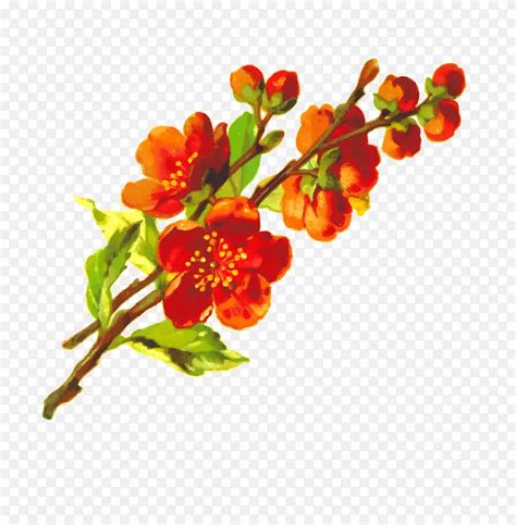 水彩桃花PNG图片素材下载 图片编号10080438 PNG素材网