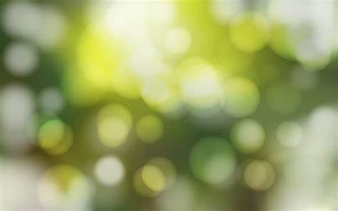 Nature Forest Bokeh Soft Light Abstract Background Vector Eps 10 Illustration Bokeh Particles