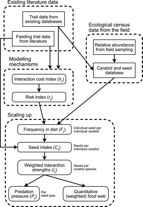 Of The Process To Use Data From Ecological Sampling And From The Download Scientific Diagram