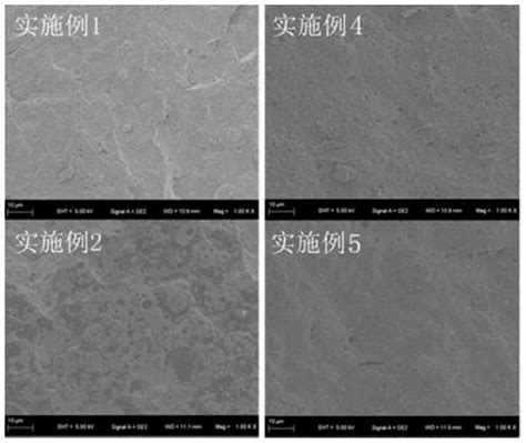 一种热塑性弹性体改性聚β 羟基丁酸戊酸酯材料的制备方法与流程
