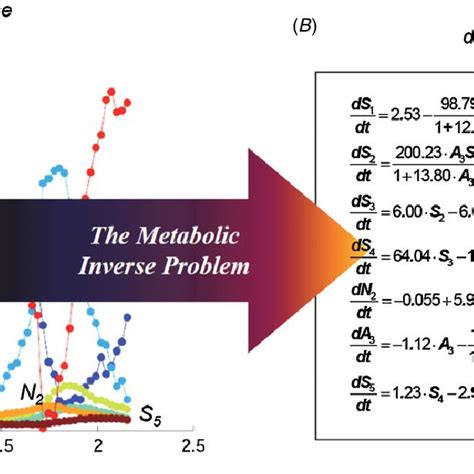 Concept And Flow Chart For Automated Model Inference A Noisy Time Download Scientific