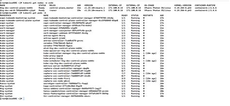 Tanzu Kubernetes Grid Tkg Clusters Deploying Using Vrealize