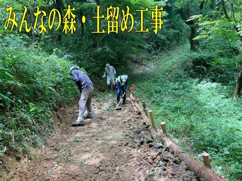 活動報告 NPO 森づくり奈良クラブ