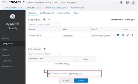 Task 10 Configure Oracle Goldengate Processes