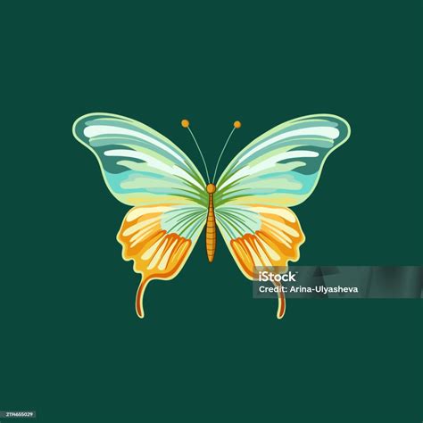 우아하고 아름 다운 열 대 나비의 컬렉션은 배경에 고립되어 있습니다 장식적인 디자인 요소를 위한 귀여운 날아다니는 나비 곤충