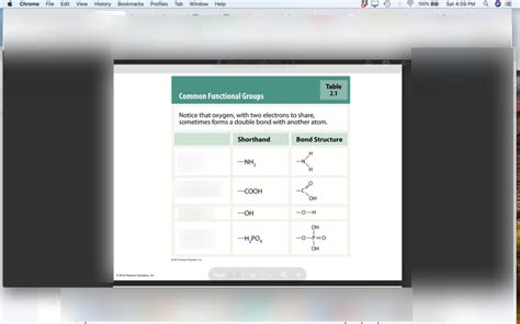 Chapter 2 Diagram Quizlet