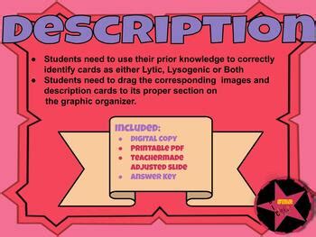 Lytic Vs Lysogenic Card Sort Review Digital Resource By BIOSTAR TPT
