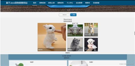 附源码 Nodejs计算机毕业设计基于java宠物销售网站express程序lw开发该基于express的流浪狗之家服务平台系统。在