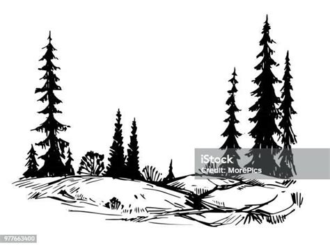 숲의 손으로 그려진된 밑그림입니다 나무 실루엣 벡터 일러스트 레이 션 0명에 대한 스톡 벡터 아트 및 기타 이미지 0명 가문비나무 개체 그룹 Istock