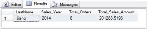 SQL Stored Procedure With Parameters And Return Values