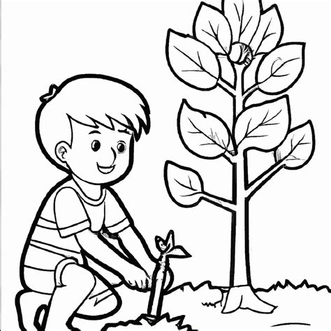 100 Desenhos De Plantinhas Para Imprimir E Colorirpintar