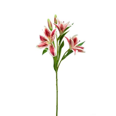Artificial Lily Spray 60cm Dark Pink Sherries Estates