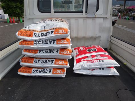 ブルーベリー追肥1メルファーふたがみ 愛媛県ぶどうブルーベリー狩り
