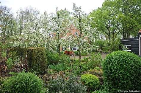 Прекрасный сад и 10 правил работы с тюльпанами Йоке Сайсоув | Сады и ...