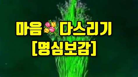 마음💐다스리기 Youtube