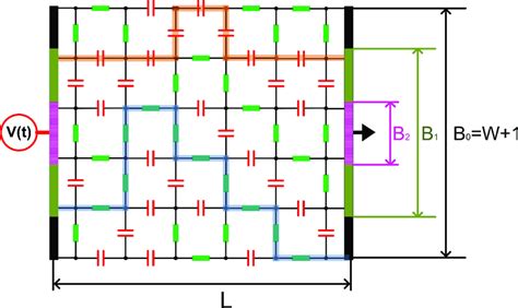 A Lattice Network Containing W × L 5 × 5 Randomly Distributed