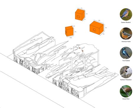 Multispecies Lounge School Of Architecture