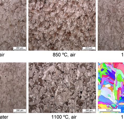 Microstructure Of The Samples Annealed For 10 Min Download Scientific
