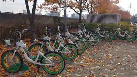 전국의 공공공유 자전거 소개 및 이용 후기 오해피넷