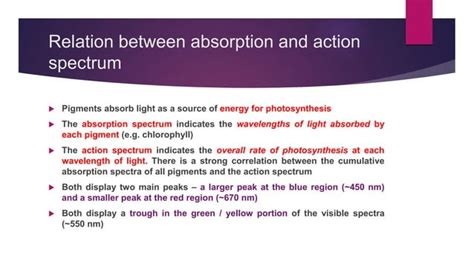 Absorption And Action Spectrum Pptx Absorption And Action Spectrum Pptx