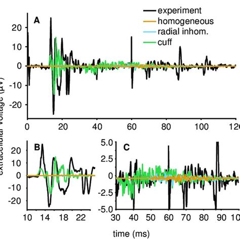 A The Simulated Compound Action Potential In The Cuff Medium Download Scientific Diagram