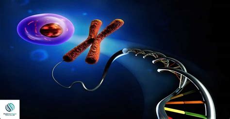 Recombinant Dna Technology