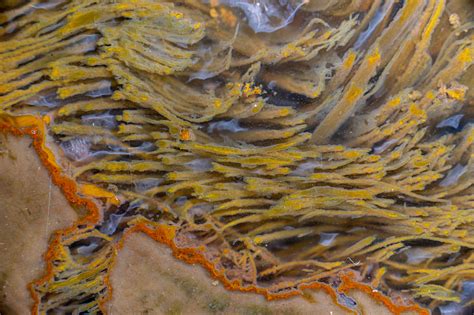 World Inside A Rock Richardson Ranch Moss Bed Thunderegg Eric Lint