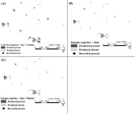 Predicted According To Plausible Models That Were Valid According To