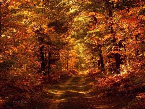 Pascals Calculator Invented By Blaise Pascal