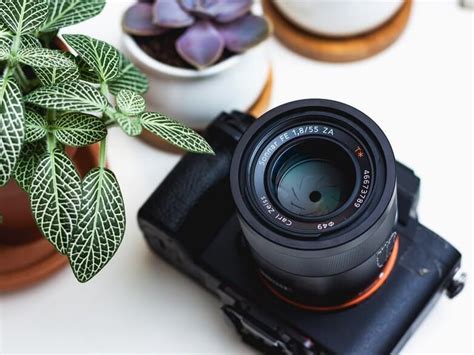 Книги по обучению фотографии для начинающих фотографов